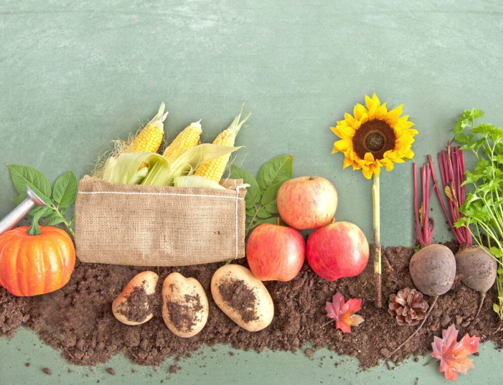 How to set up the Chart of Accounts in QuickBooks Online (Part 1) - 5 ...